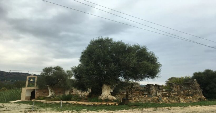Chania Monasteries Private Tour: A Greek Orthodoxy Tribute - Who Will Benefit Most?