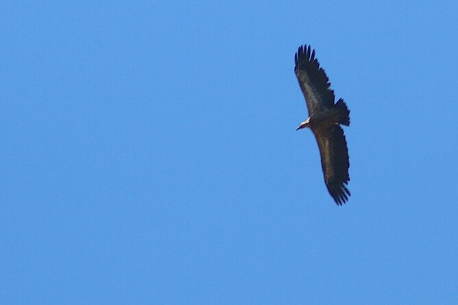 Chania Nature & Villages, White Mountains & Unique Cretan Lunch - Frequently Asked Questions