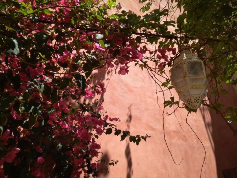 Chania Old Town: Artisans & Sightseeing Walking Tour - Final Thoughts: Is It Worth It?