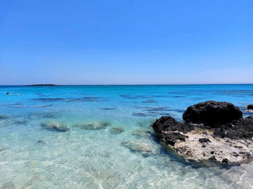 Chania Pink Sand Beaches Private Tour: Elafonisi & Falasarna - Who Will Love This Tour?