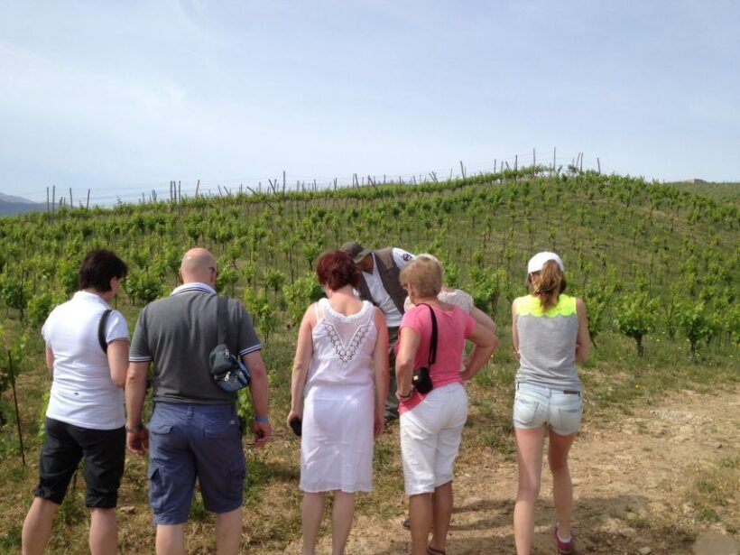 Chania Premium Sunset Safari Tour - A Taste of Crete in a Family Tavern