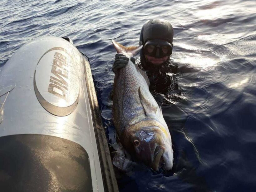Chania: Private Boat Fishing Trip - Final Thoughts: Who Will Love This Experience?