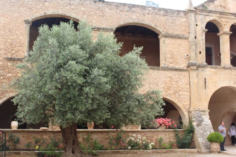 Chania Private Olive Oil Tour: Oil Tasting & Villages Tour - Key Points