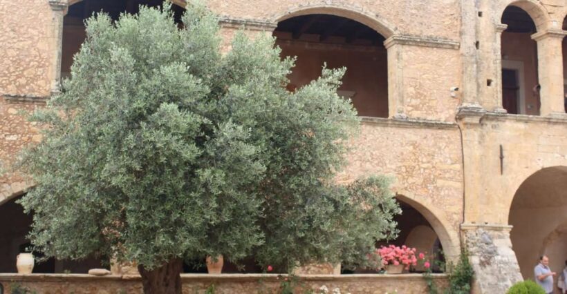 Chania Private Olive Oil Tour: Oil Tasting & Villages Tour - An In-Depth Look at the Olive Oil & Villages Tour