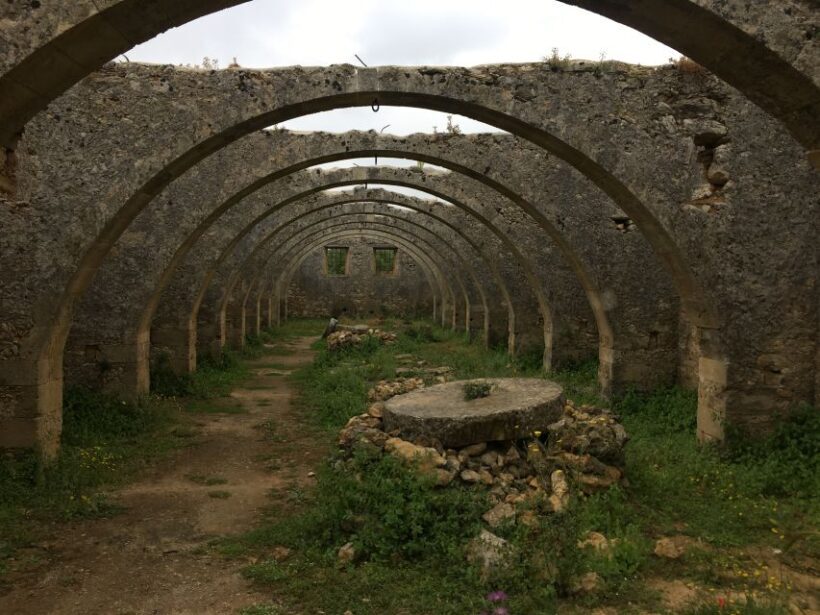 Chania Private Olive Oil Tour: Oil Tasting & Villages Tour - Real Traveler Feedback & Authentic Insights