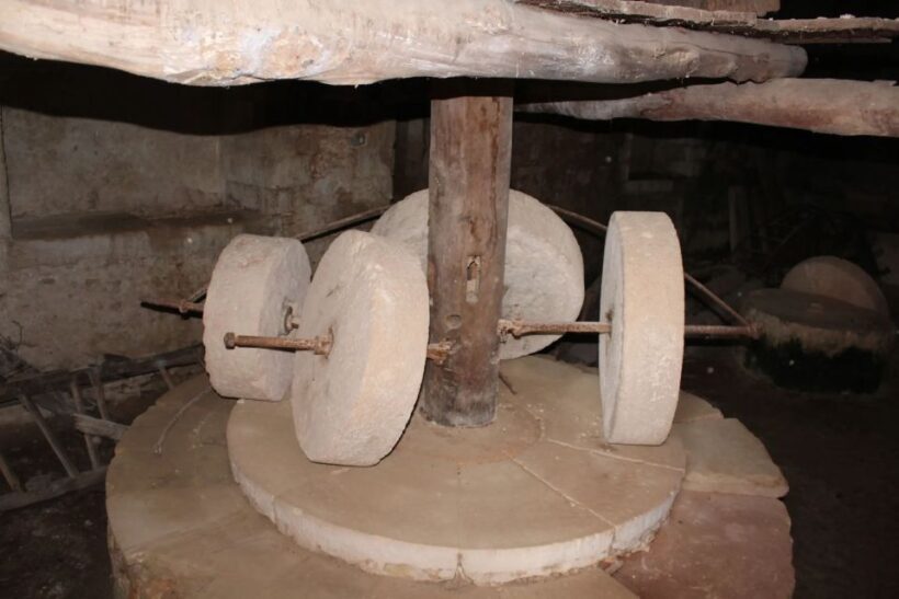 Chania Private Olive Oil Tour: Oil Tasting & Villages Tour - The Bottom Line