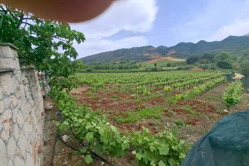 Chania: Private Tour to Therisso Gorge Village &Local Winery - Who Should Consider This Tour?