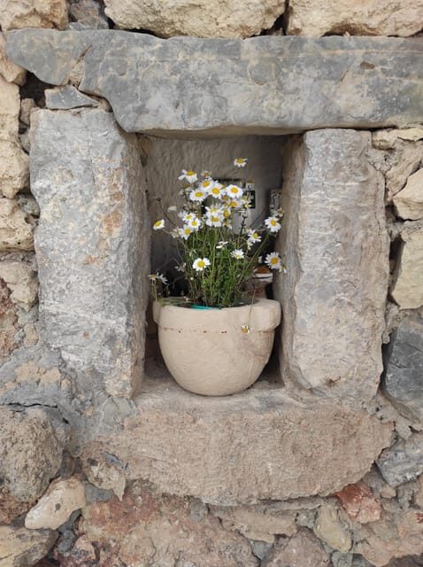 Chania: Private Walking Tour: History, Sights, Food & Senses - Introduction: Why This Tour Stands Out
