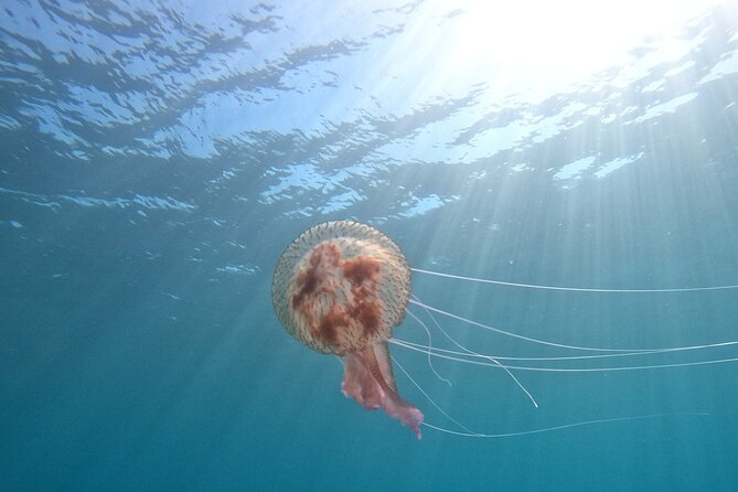 Chania Scuba Diving 2 Shore Dives(Receive Certification) - Key Points