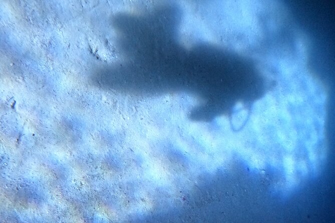 Chania Scuba Diving 2 Shore Dives(Receive Certification) - Who Will Love This Tour?