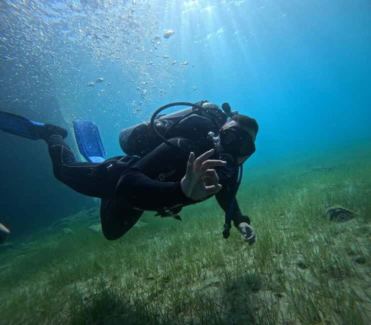Chania :Scuba Diving for Beginners-Boat Dive - The Value Proposition