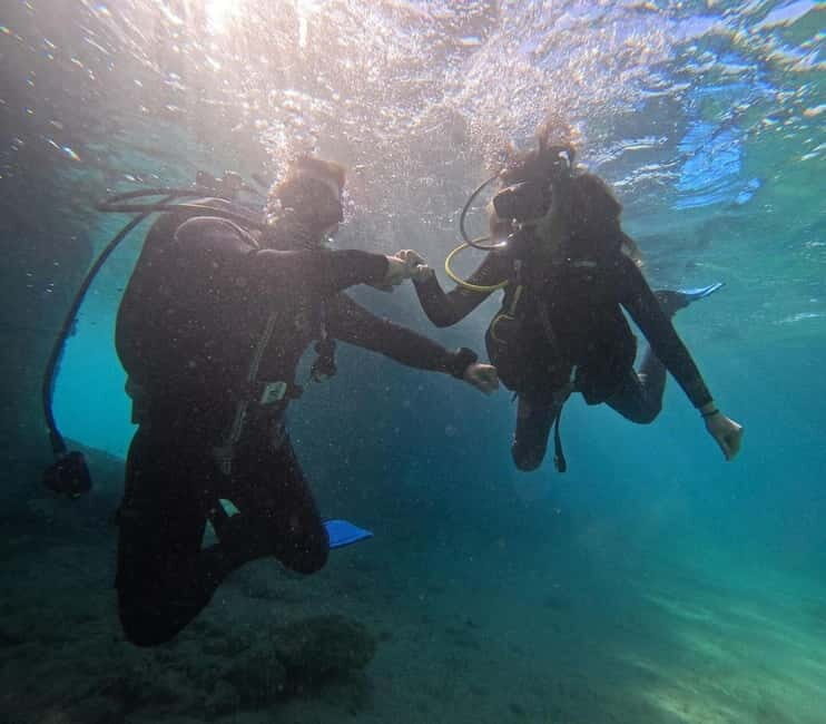 Chania :Scuba Diving for Beginners-Boat Dive - Who Should Consider This Tour?