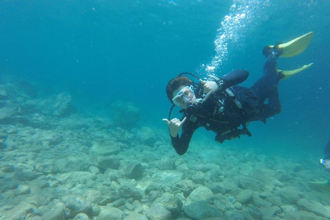Chania: Scuba Diving for Beginners - Discovering Marine Life and Coral Reefs