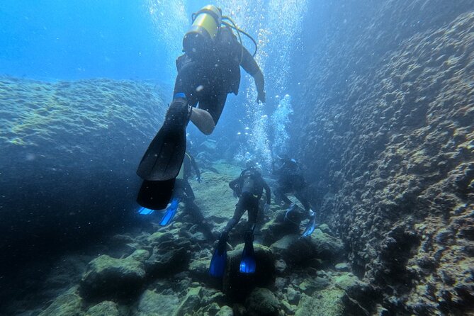 Chania Scuba Diving | Fun Dives | Certified Divers - Introduction: A Personal Touch to Crete’s Marine Wonders