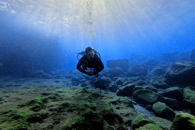 Chania Scuba Diving | Fun Dives | Certified Divers - What to Expect: The Dive Day in Detail