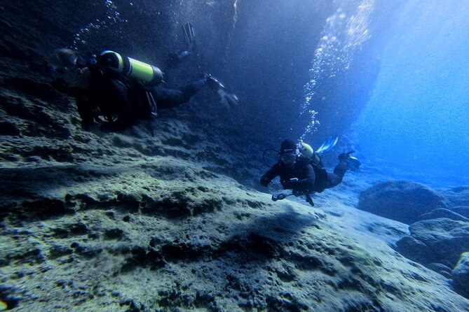 Chania Scuba Diving | Fun Dives | Certified Divers - The Marine Environment: What Youll See
