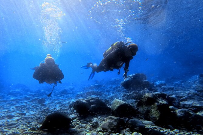 Chania Scuba Diving | Fun Dives | Certified Divers - Meeting Points & Logistics: Making It Easy