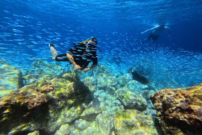 Chania Scuba Diving | Fun Dives | Certified Divers - Authentic Experiences & Authenticity