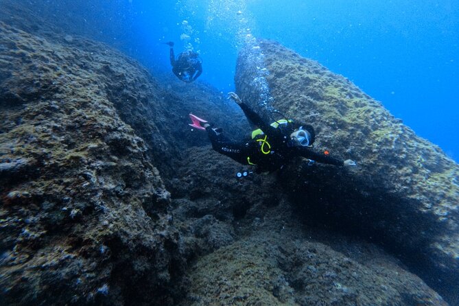Chania Scuba Diving | Fun Dives | Certified Divers - Who Will Love This?