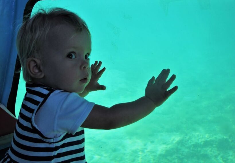 Chania: Semi-Submarine Boat Underwater Experience - Key Points