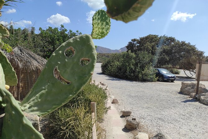 Chania to Elafonisi Beach and Traditional Villages Private Tour - The Sum Up