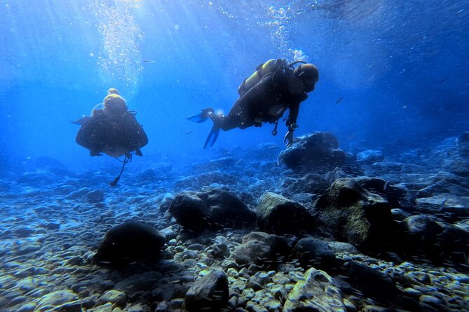 Chania | Try Scuba Diving | Private Introduction Dive - Final Words: Is It Worth It?