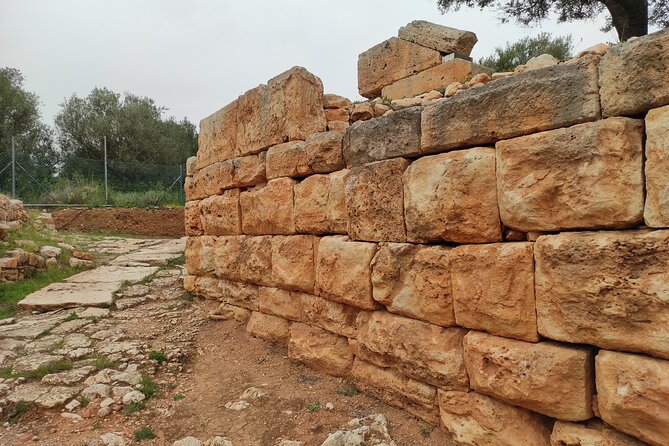 Chania Villages and Aptera Site Private Guided Tour - The Daring Theriso Gorge and Historic Theriso Village