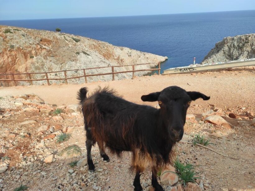 Chania Villages Private Tour: Explore the Authentic Crete! - Final Thoughts: Who Will Love This Tour?