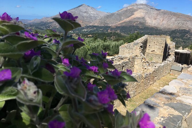 Chania White Mountains Private Tour: From Sea to Summit! - Exploring the White Mountains and Beyond: An In-Depth Review