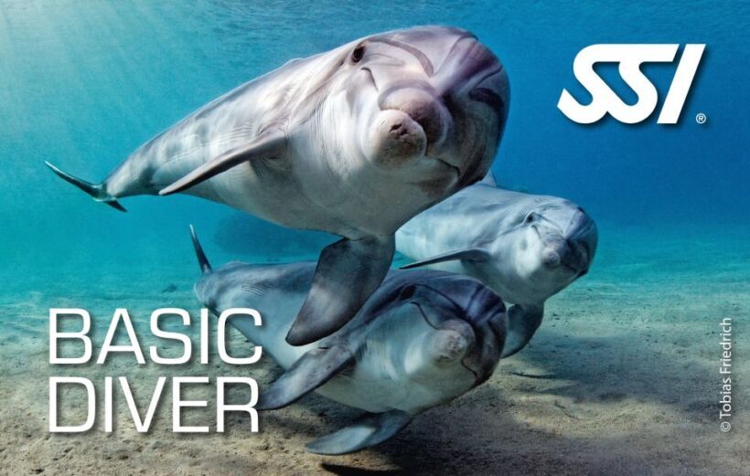Chania:Try Scuba Diving 2shore dives(Receive Certification) - Authentic Feedback from Participants