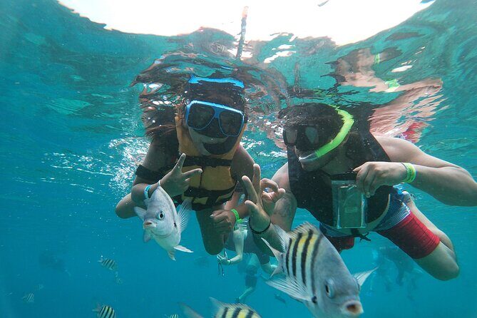 Chankanaab Park Admission + Welcome drink + Snorkeling - The Practicalities You Need to Know