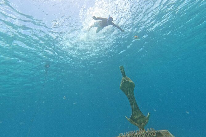Chankanaab Park entrance ticket with snorkeling and buffet included - An Overview of the Experience