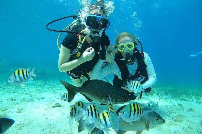 Chankanaab Park Plus Discovery Scuba Dive with Lunch - Practical Details and Tips