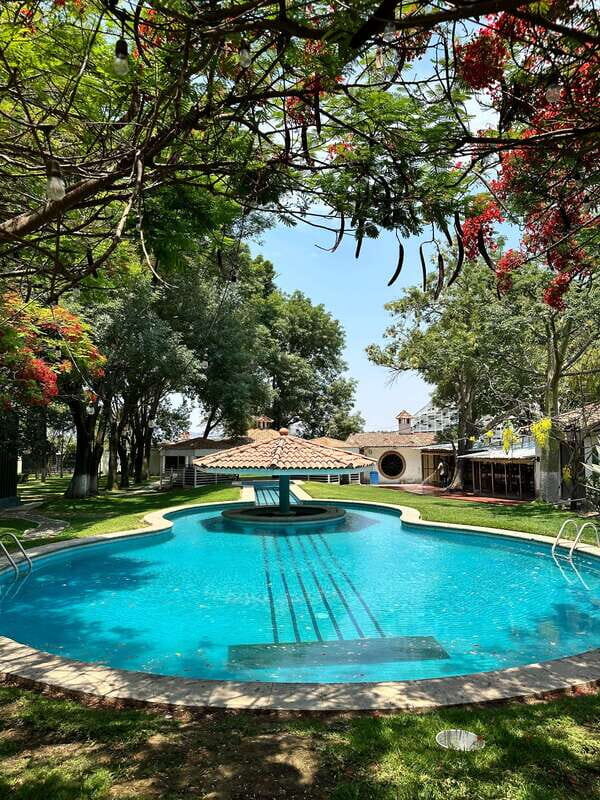 Chapala and Ajijic Tour from Guadalajara with 3 Potrillos - What’s on the Itinerary?