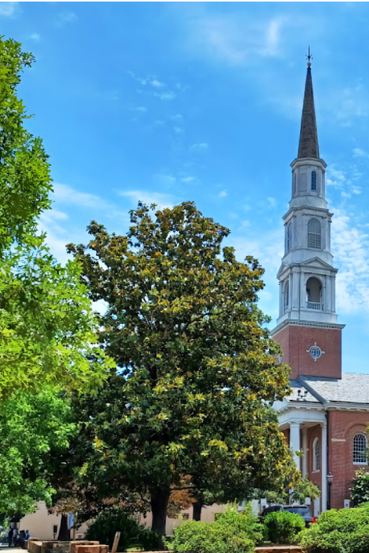 Chapel Hill Historic Churches Tour - The Sum Up: Is It Worth It?