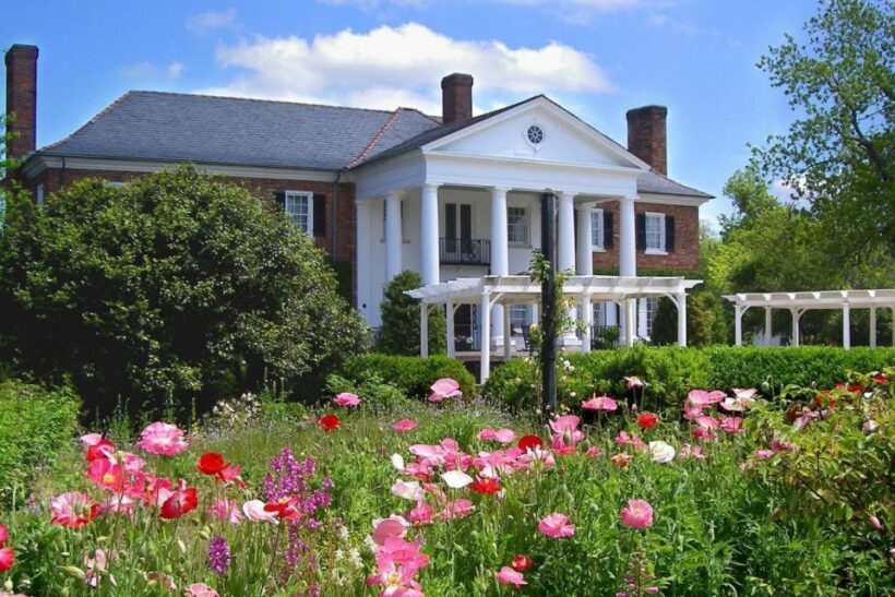 Charleston: Boone Hall & Historic City Tour Combo - A Deep Dive into the Experience
