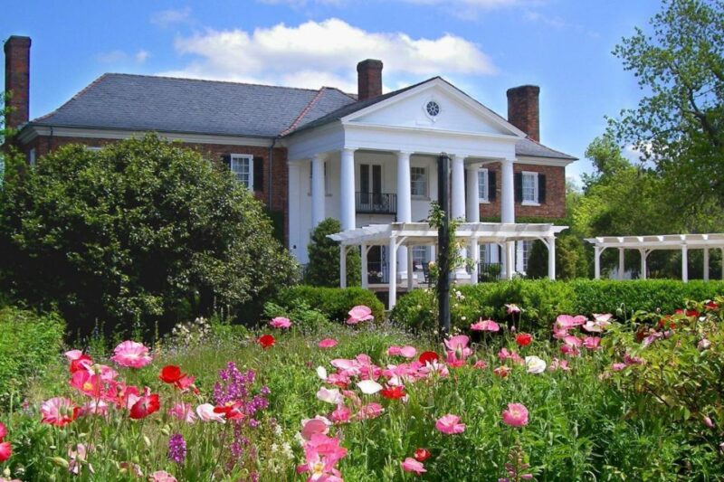 Charleston: Boone Hall & Historic City Tour Combo - Who This Tour Is Best For