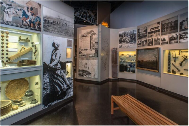 Charleston: City Tour with Charleston Museum Entry Combo - What to Expect and Practical Tips