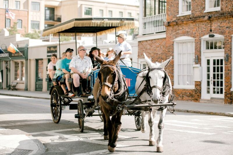 Charleston: Downtown Horse-Drawn Carriage Tour - The Itinerary Breakdown