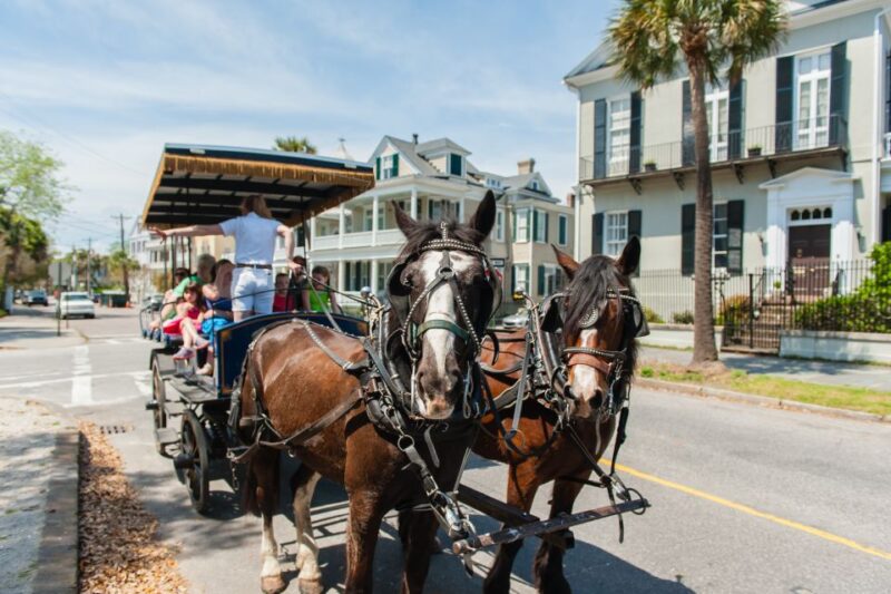 Charleston: Downtown Horse-Drawn Carriage Tour - Value and Price