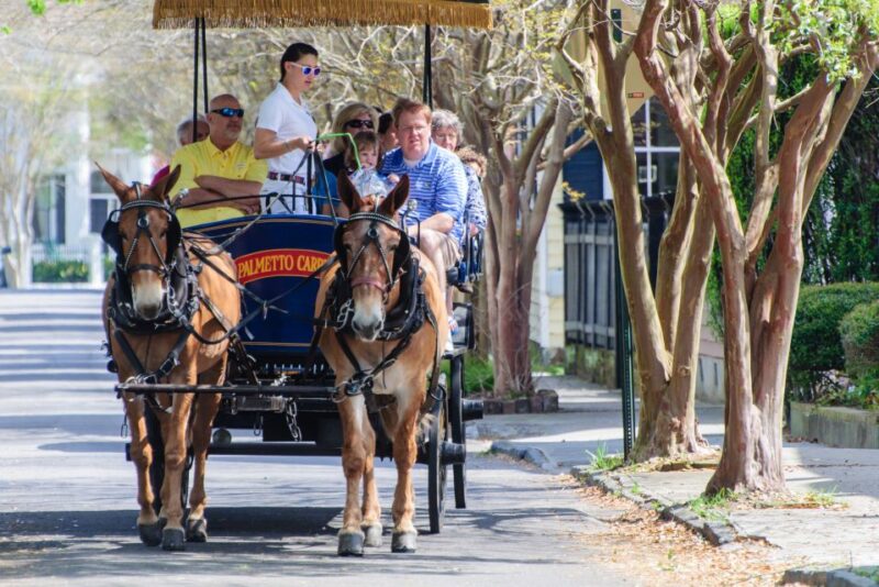 Charleston: Downtown Horse-Drawn Carriage Tour - FAQs About the Charleston Horse-Drawn Carriage Tour