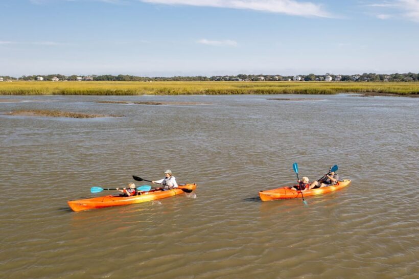 Charleston: Folly Beach Afternoon Kayak Dolphin Safari - Key Points