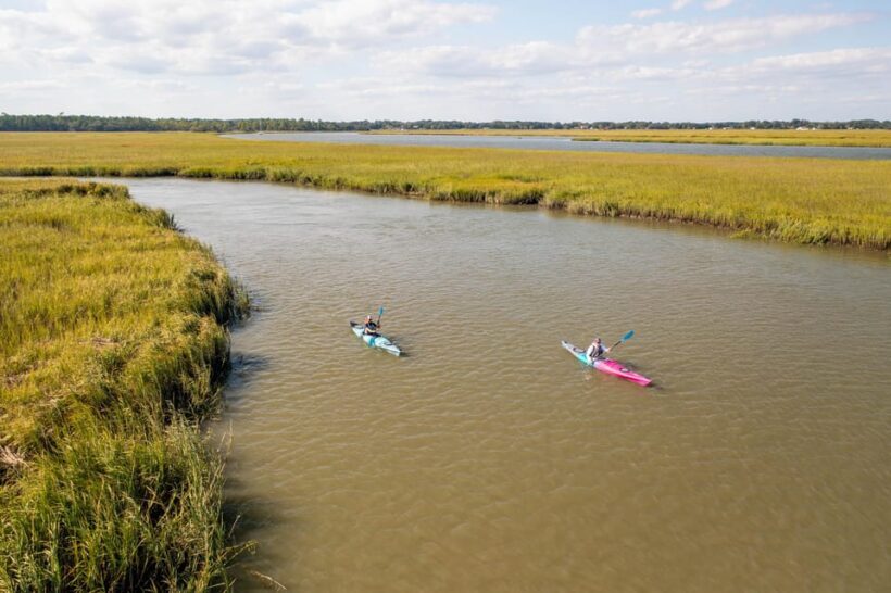 Charleston: Folly Beach Afternoon Kayak Dolphin Safari - Final Thoughts: Is It Worth It?