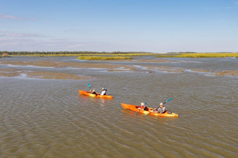 Charleston: Folly Beach Afternoon Kayak Dolphin Safari - Who Will Love This Tour?