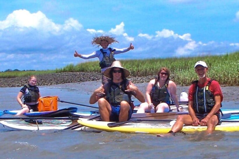 Charleston: Folly Beach Stand Up Paddleboard Dolphin Safari - Introduction: What This Tour Offers