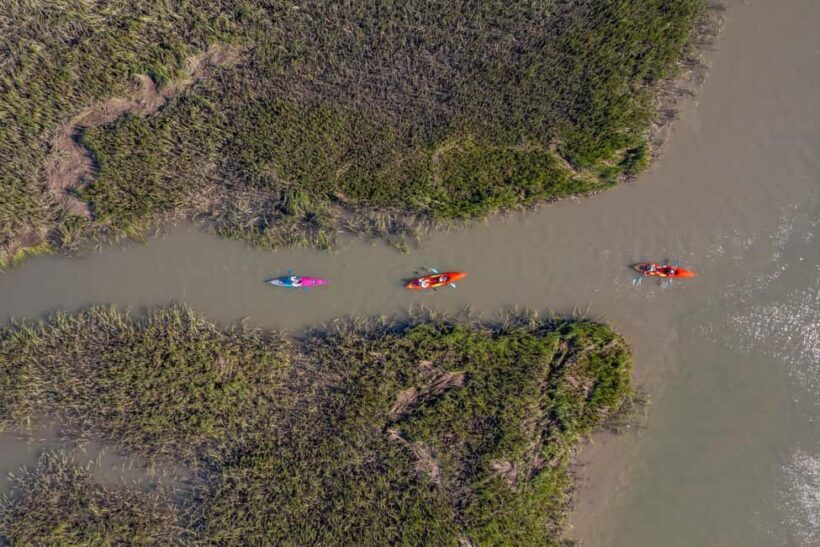 Charleston: Folly River Sunset Kayak Dolphin Safari - FAQ