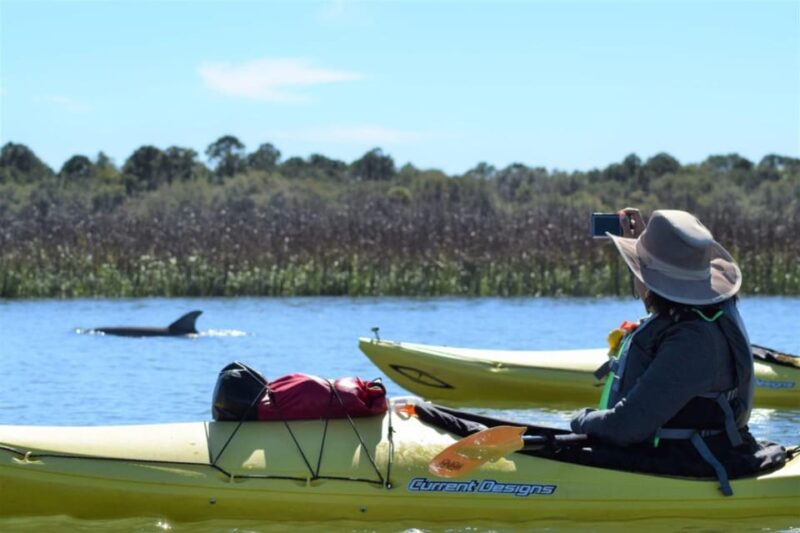 Charleston: Guided 2hr. Kayak Tour with a Tandem or Single - Key Points