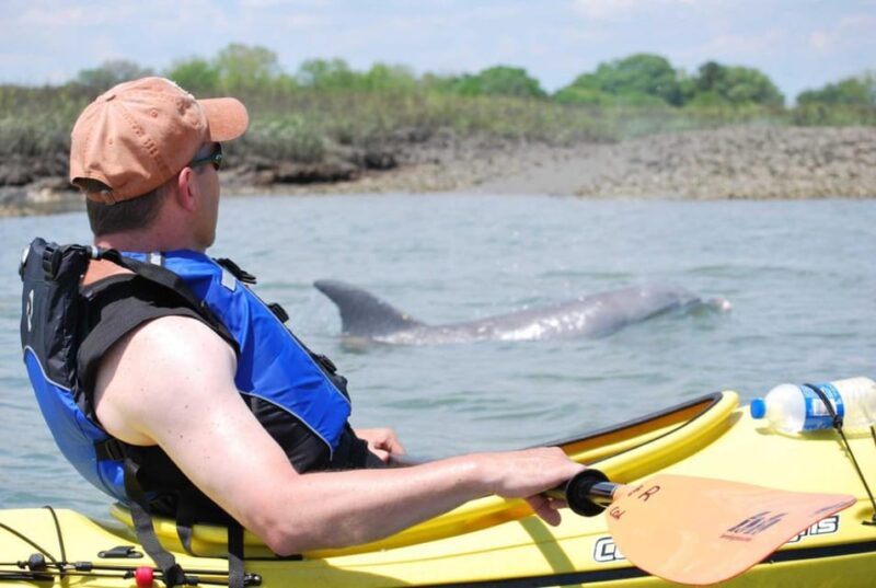 Charleston: Guided 2hr. Kayak Tour with a Tandem or Single - Why This Tour Works Well for Travelers