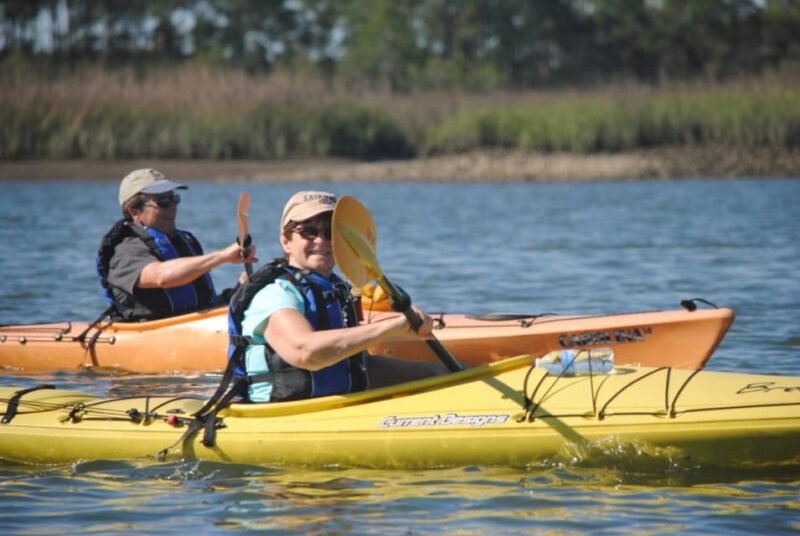 Charleston: Guided 2hr. Kayak Tour with a Tandem or Single - Who Should Consider This Tour