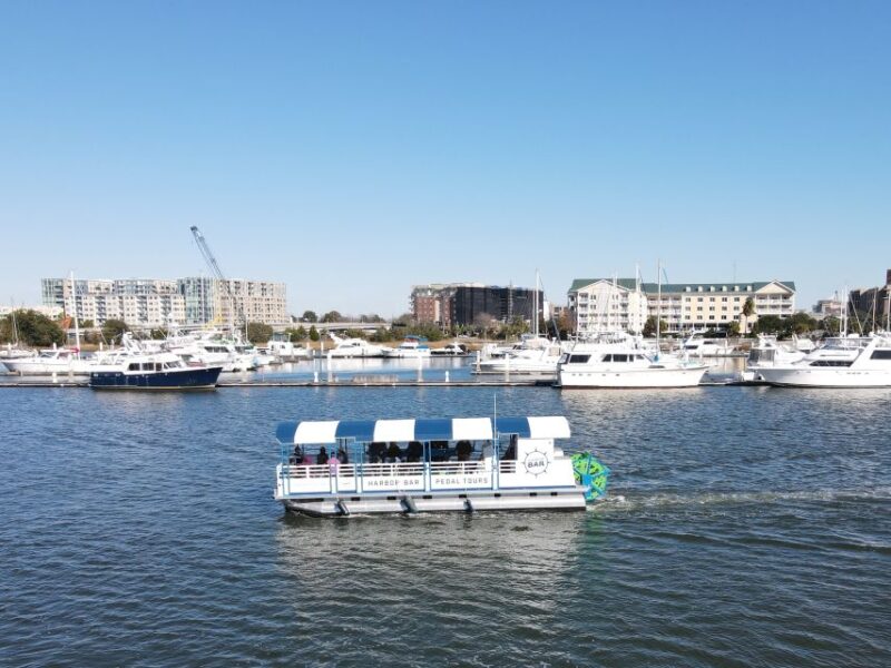 Charleston: Harbor Bar Pedal Boat Party Cruise - Who Should Consider This Tour?